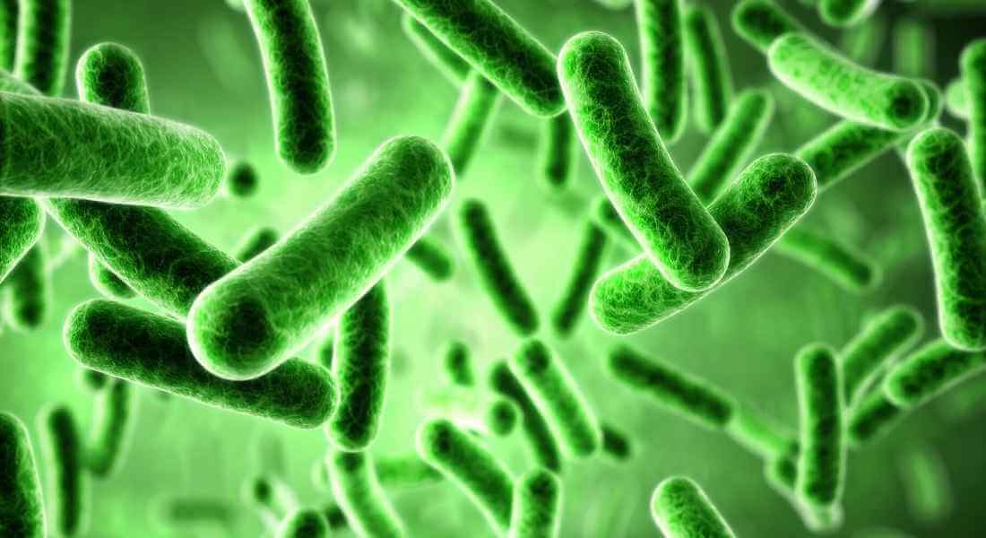 Darmaufbau nach Antibiose – 3 Schritte zur Darmsanierung